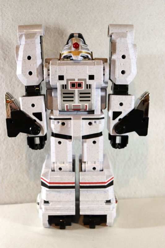 Gosei Sentai Dairanger / Super Sentai Artisan DX Won Tiger with Package