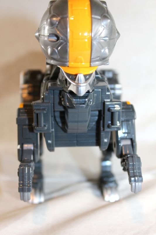 Kyoryuger Grey